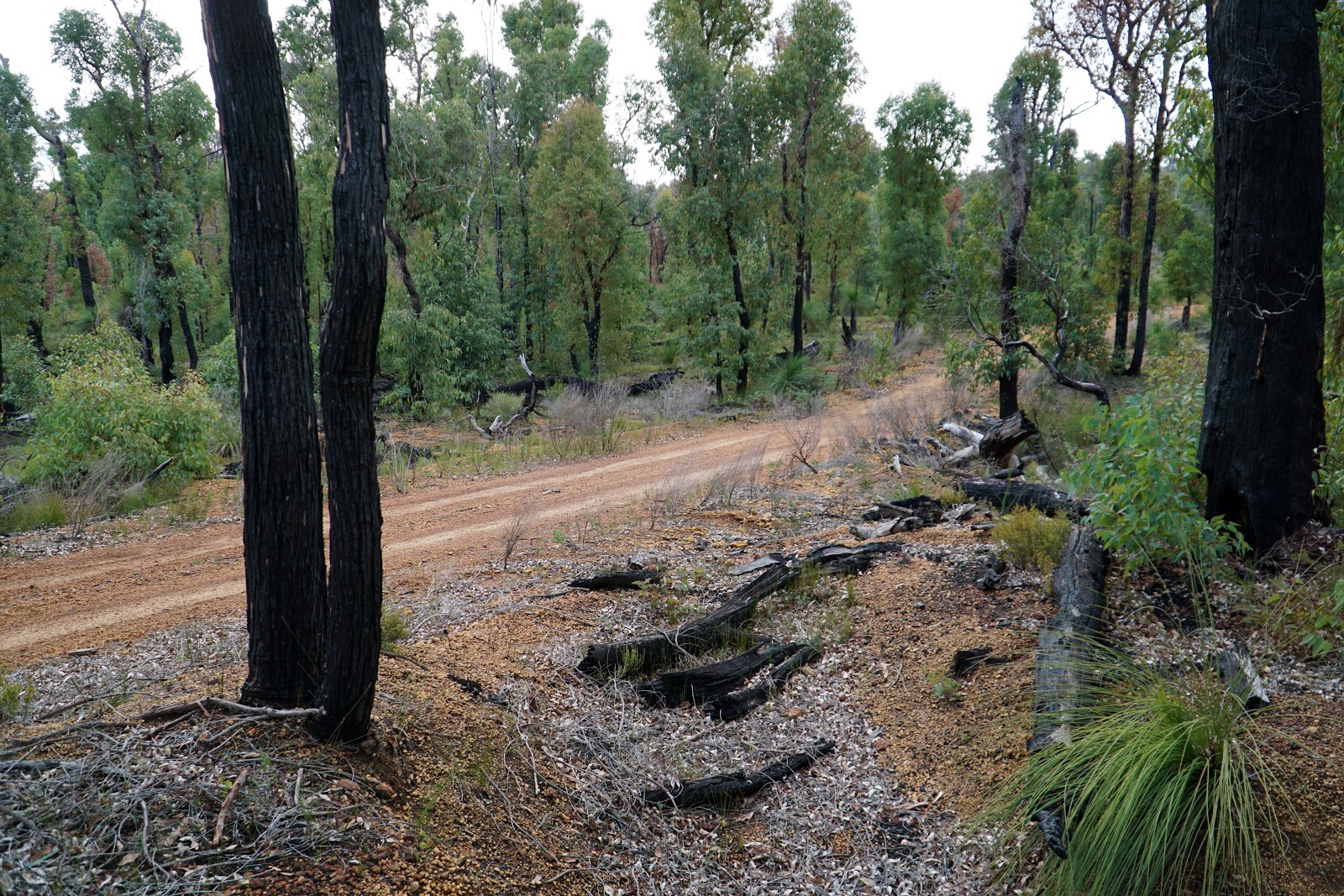 Abyssinia Rock Walk GPS Route (Jarrahdale State Forest) ~ The Long Way ...
