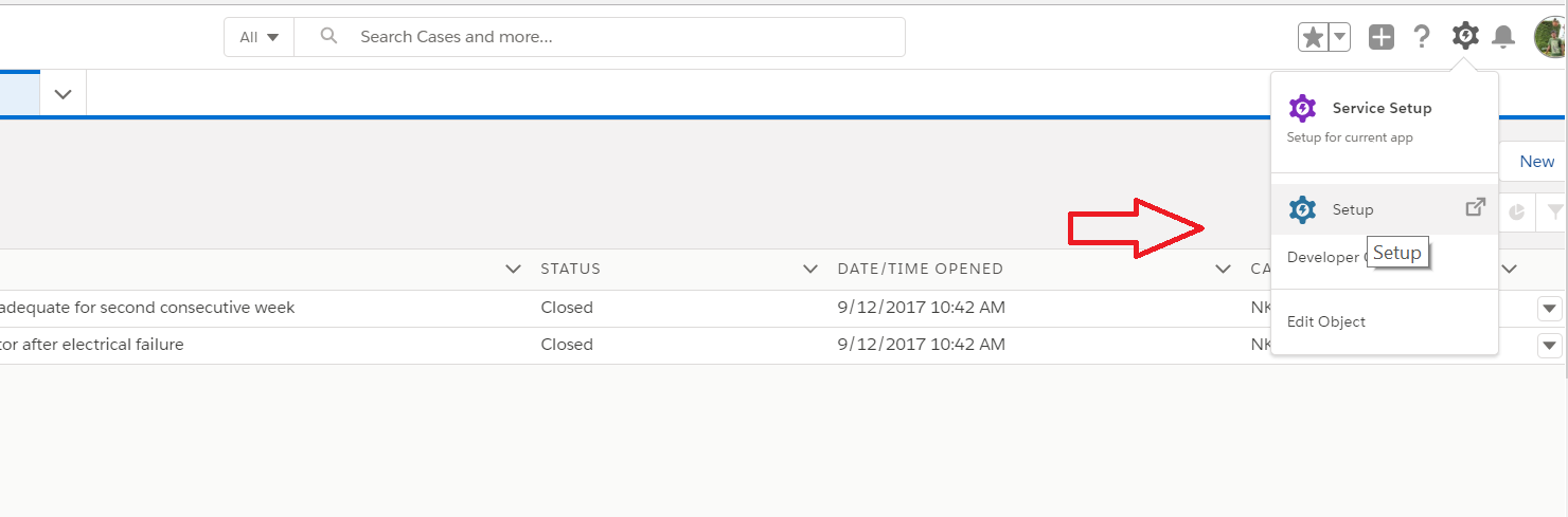 How to display sObject record list and its details in community pages ...