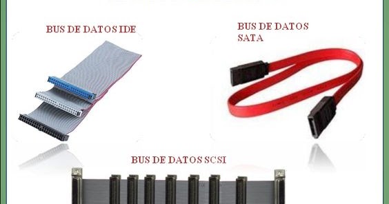 Introducción a la Arquitectura de Computadoras: Buses