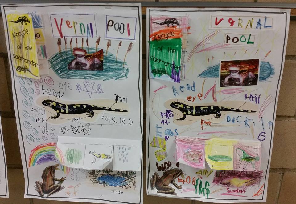 Read Aloud Literacy: Vernal Pool Learning, The Secret Pool with Rebekah ...