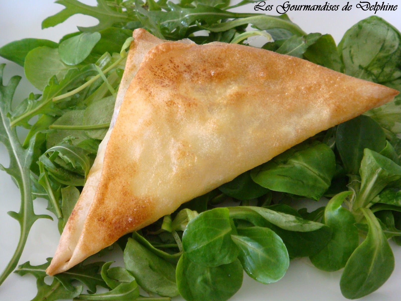 Chausson ou samoussa chèvre, miel et noix