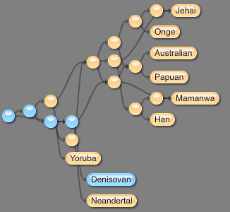 A Three-Pound Monkey Brain: Human Clades: A Look at a Complex Phylogeny