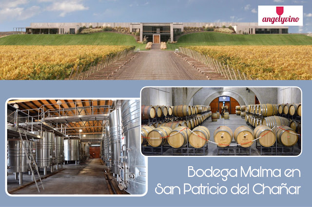 El ángel del vino. Blog de vinos: Bodega Malma en San Patricio del Chañar