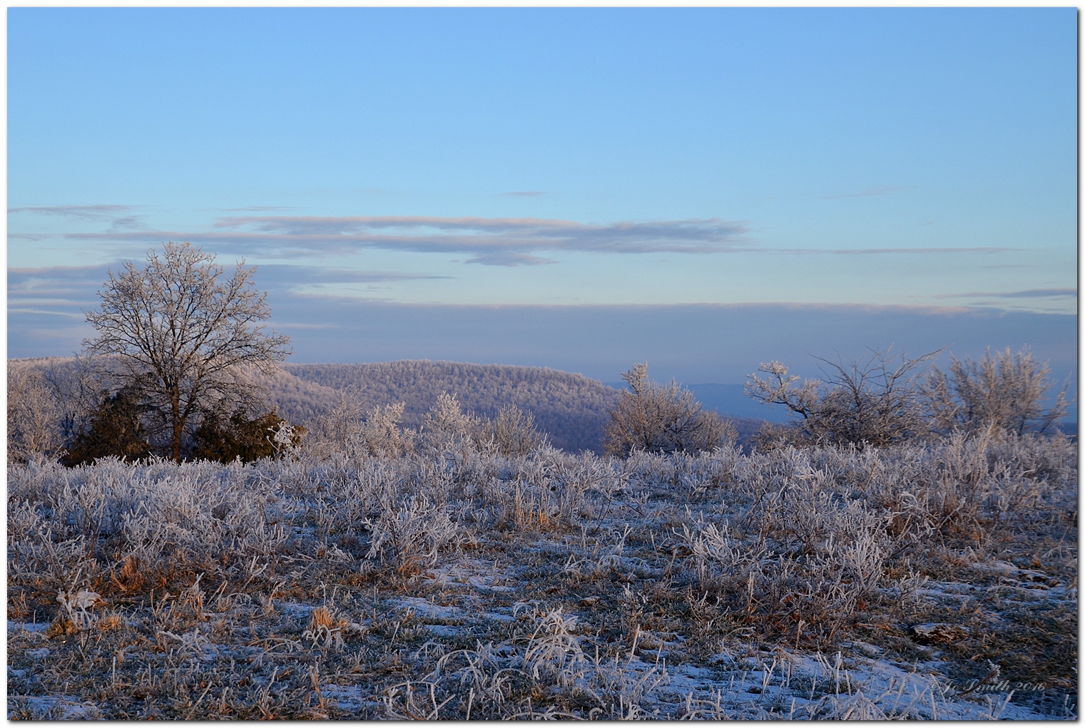 Nature in the Ozarks: Frozen Fog