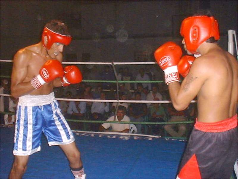 BOXEO DEPORTE DE ALTO RENDIMIENTO