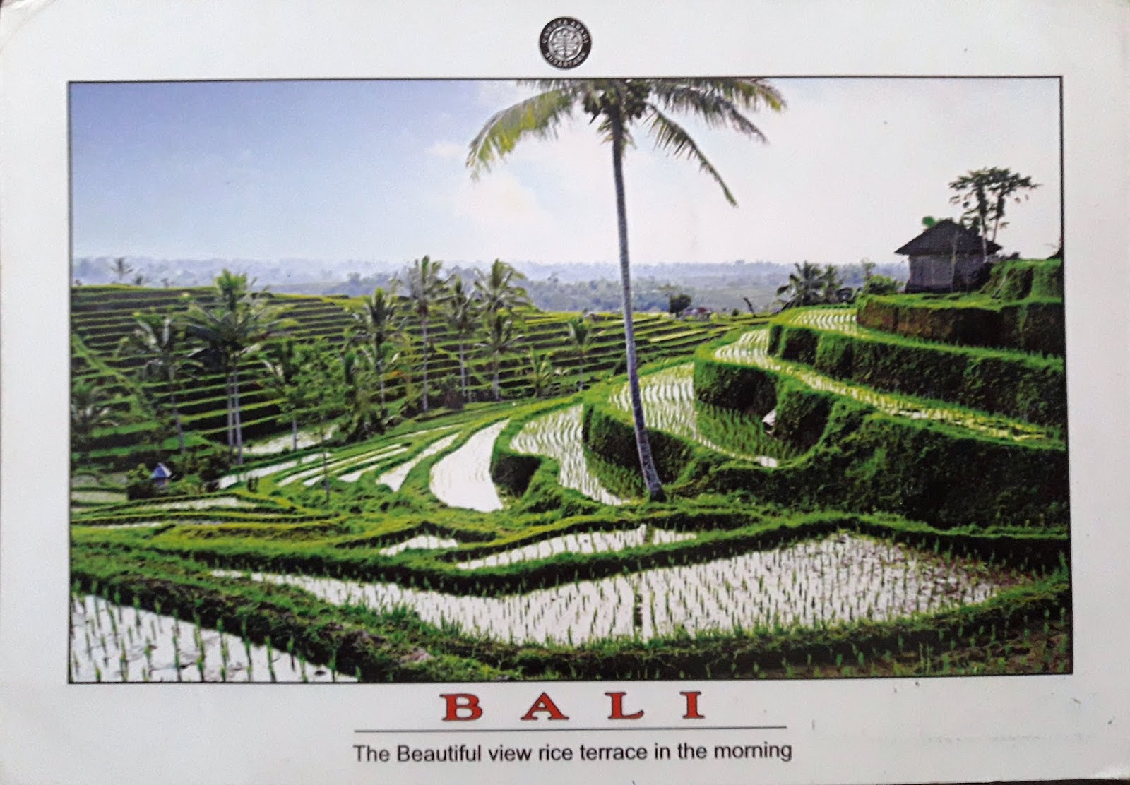 Namaste Postcards: Indonesia: Rice Fields, Bali