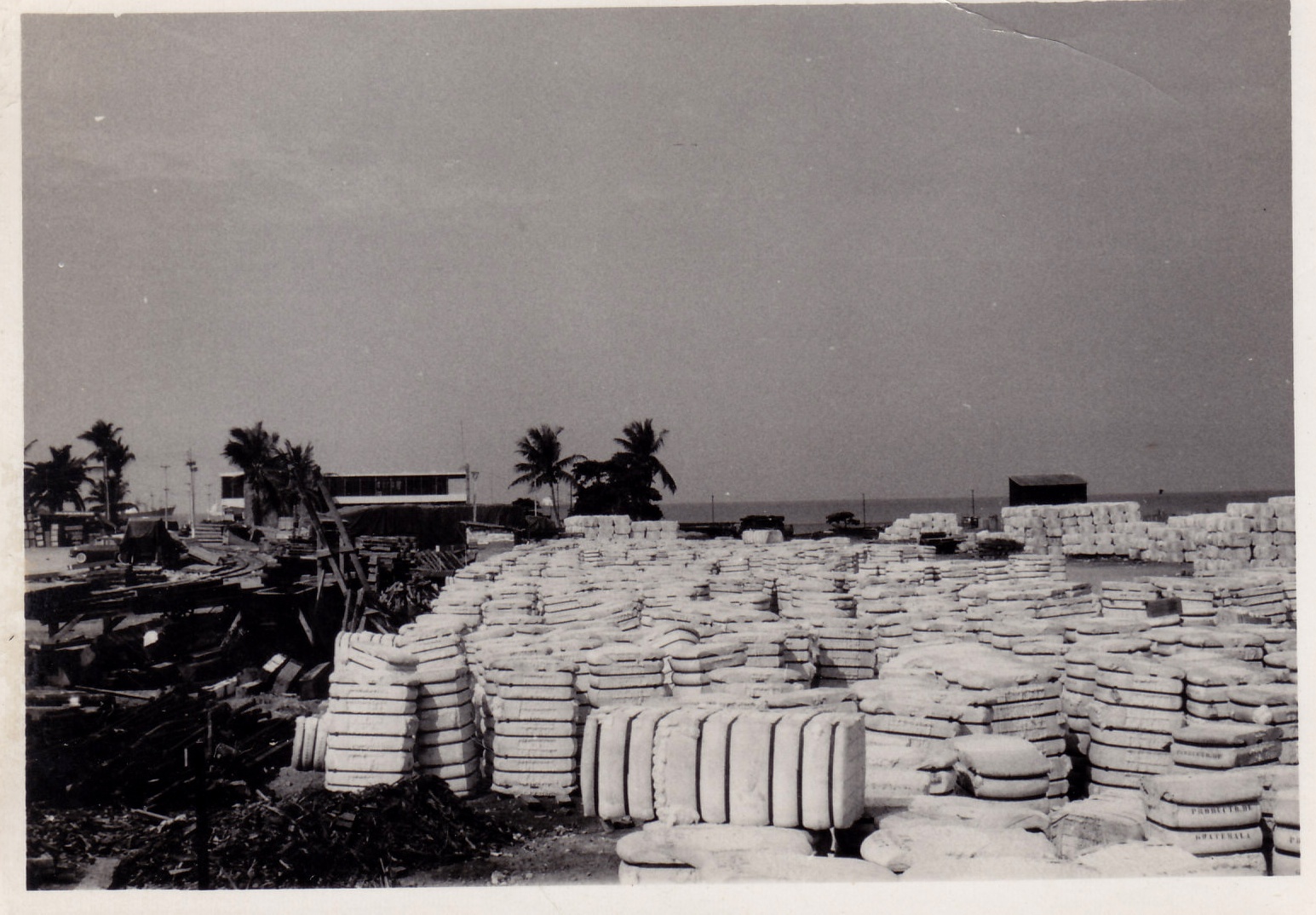 Historia de Champerico: 2015