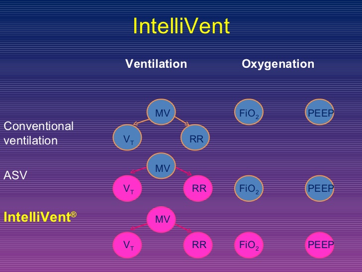 Reflexões sobre Fisioterapia Hospitalar: Ventilação com Suporte ...