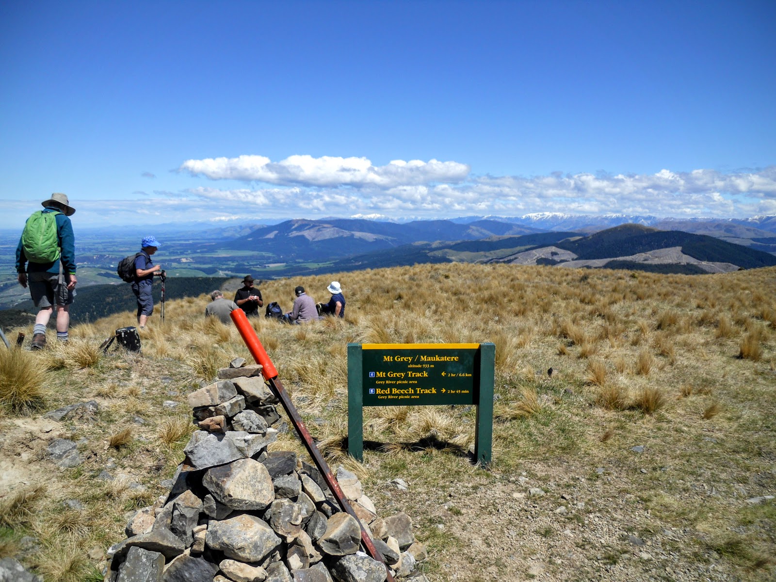 Tramping in the New Zealand backcountry: NZ Bush Adventures: Mt Grey ...