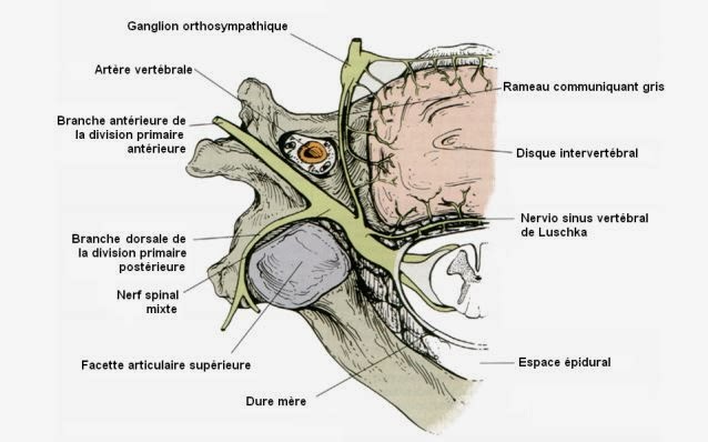Un médecin du sport vous informe: 11.21.2013
