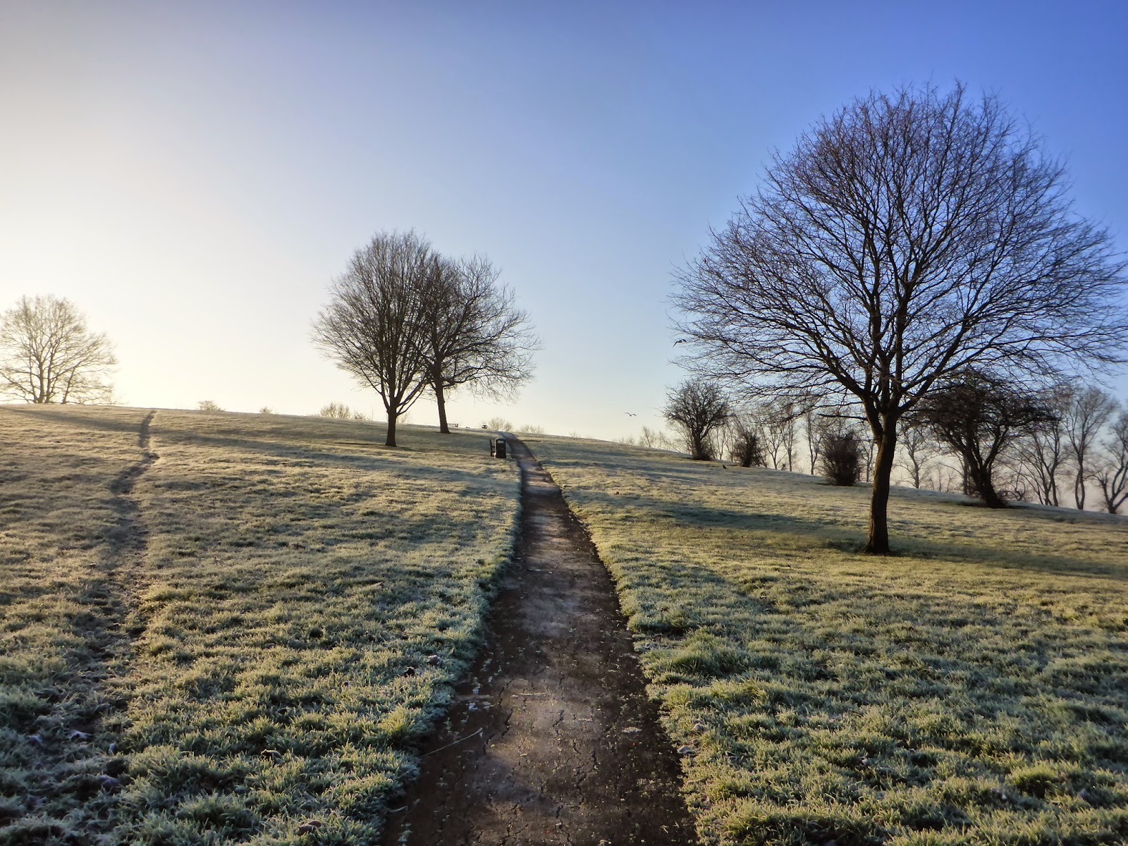 A frosty morning walk on One Tree Hill recreation ground in Alperton ...