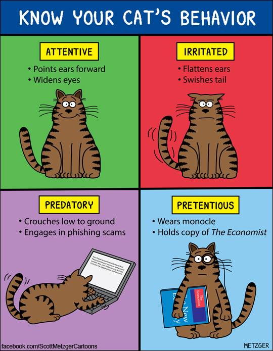 Mystery Fanfare: Cartoon of the Day: Cat Behavior