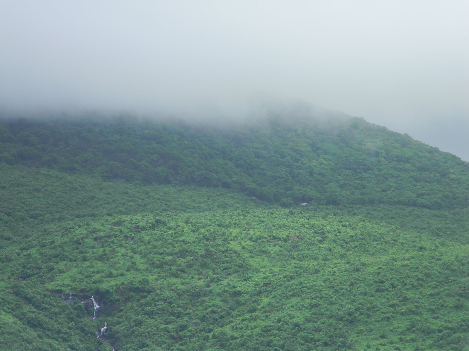 free download grils imags: Cool Green Hill view-Dindoshi Malad