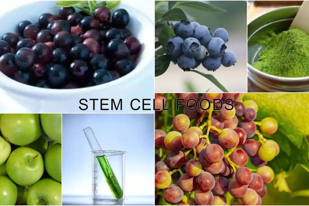 Nutrition - Maintaining Healthy Lifestyle