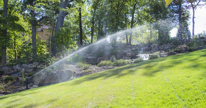 When, How, and Why to Irrigate Your Lawn Properly