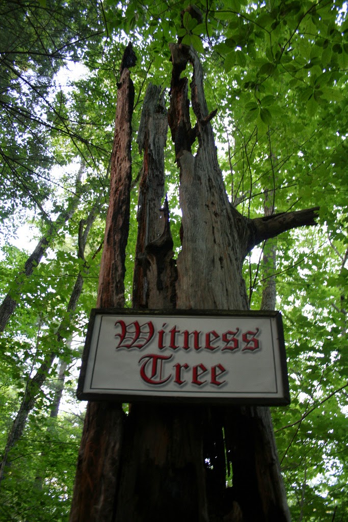 The Carpetbagger: Fields of the Wood: World's Largest Ten Commandments