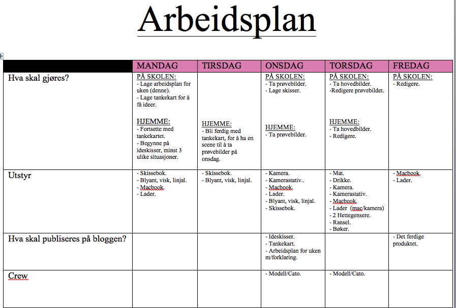 Tonje Idland - MK blogg: Arbeidsplan for fotooppgave