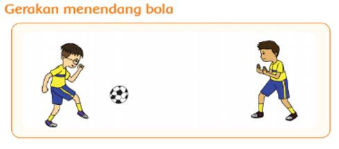 PERTEMUAN KE-9 PERMAINAN KUCING-KUCINGAN - PJOK SD KOTA TEGAL