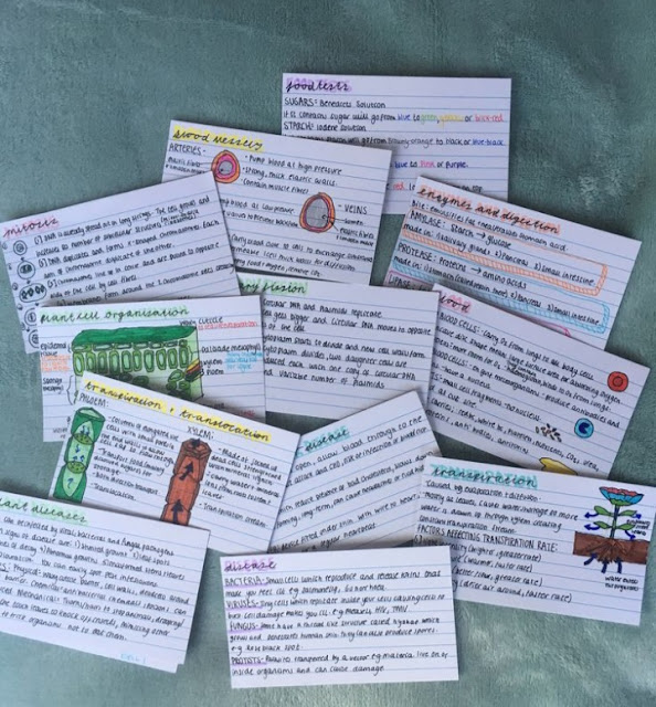 8 study techniques of TOP STUDENTS