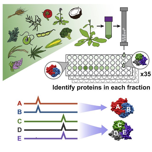 Plant Biology Highlights: Cell Articles 2020