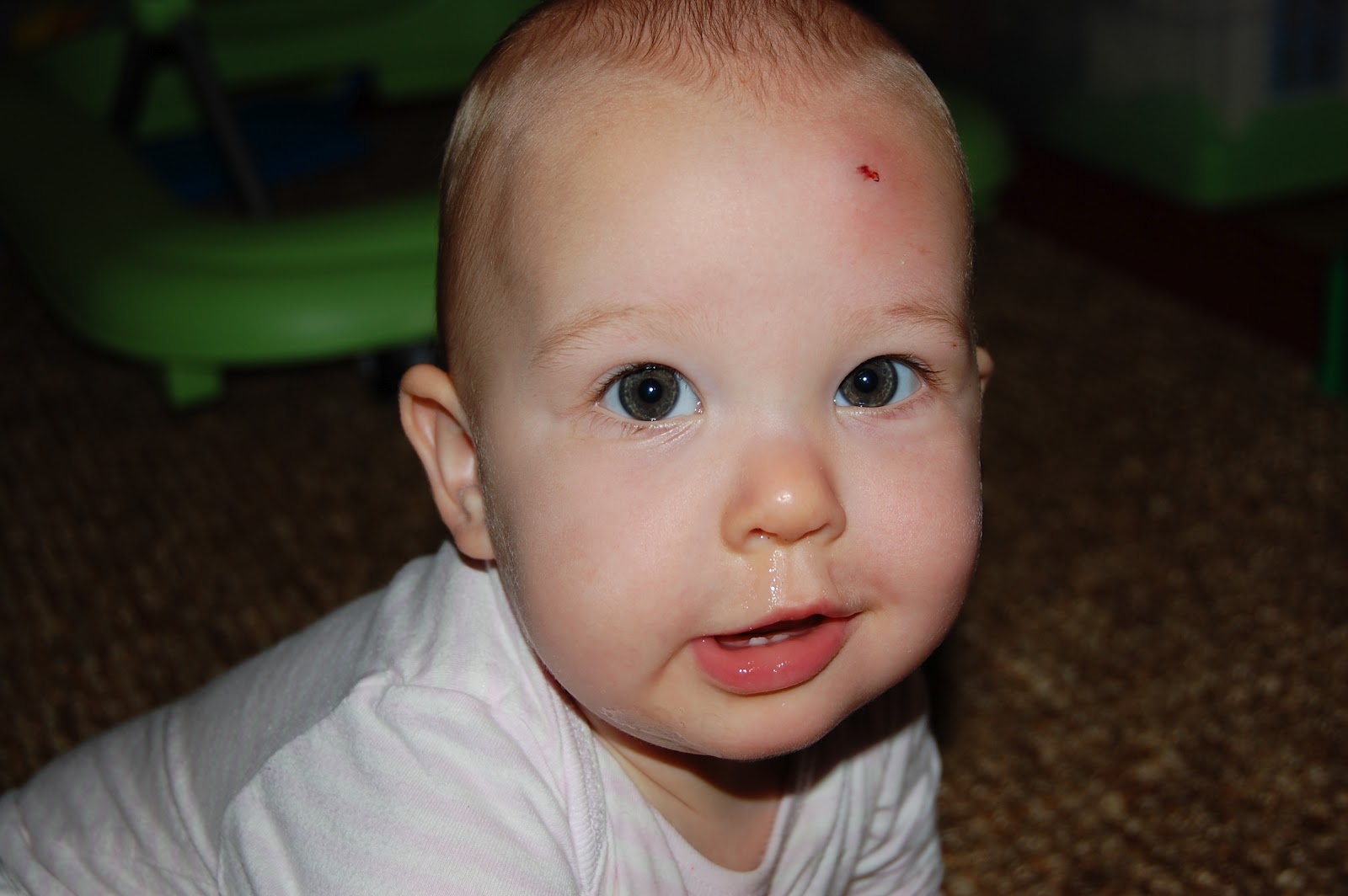 The Campbell House: First Wound