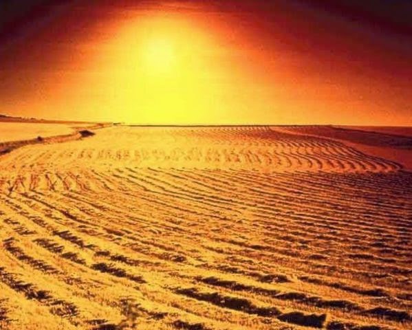 Yuk, Kita Intip Seperti Apa Padang Mahsyar di Akhir Zaman - Kodokoala.net