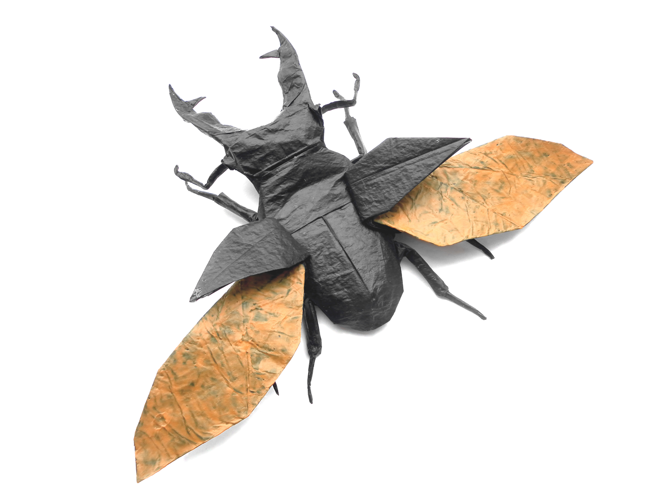 Mariano-Mi mundo el Origami: Flying Stag Beetle