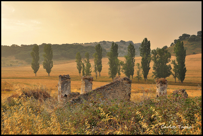 SERRANIA DE RONDA, naturaleza: amanecer desde el Cupil