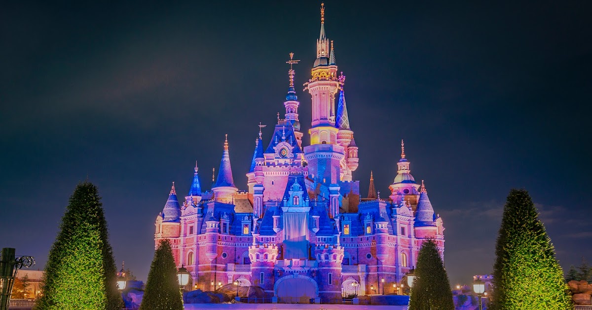 Disney Photoblography