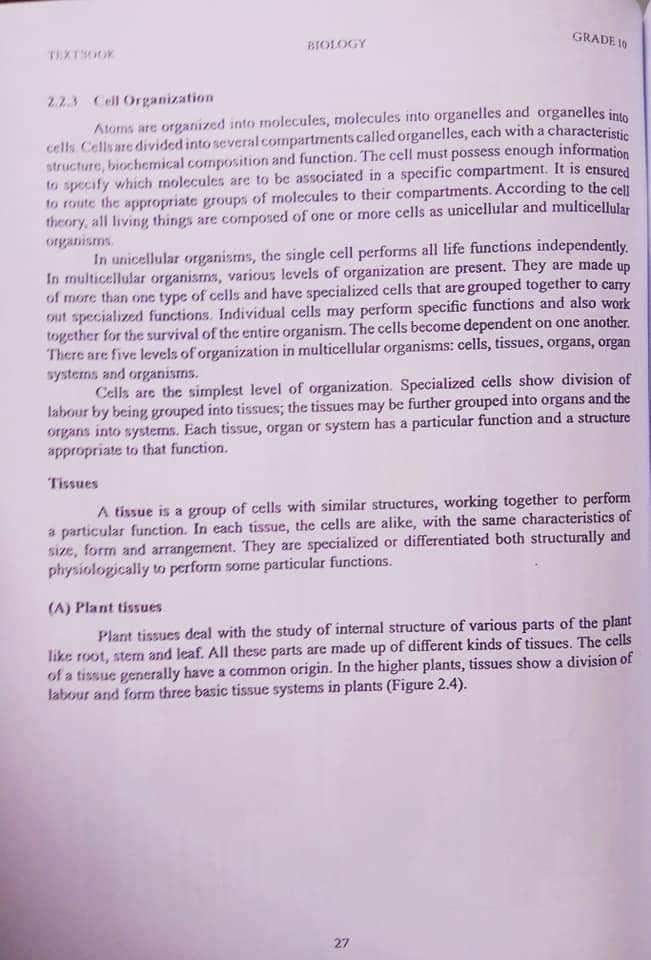 Edu Grade 7 သတ္တမတန်းသင်ရိုးသစ် သင်္ချာ ၂