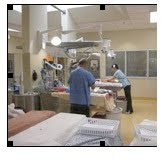 Humane Society Silicon Valley Blog: HSSV Offers TNR clinics in Medical ...