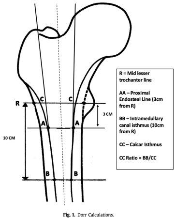 Revisiones_bibliográficas TyO_Web: 20/12/20 - 27/12/20