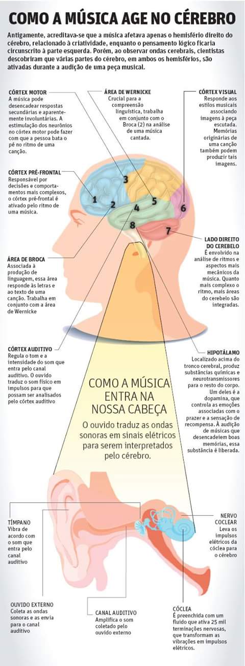 musicaeciencia