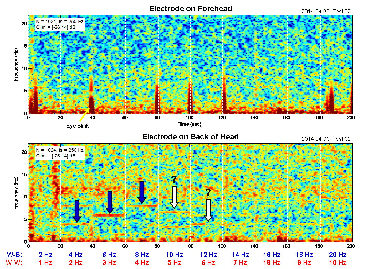 EEG Hacker: Inducing Brain Waves with Visual Entrainment