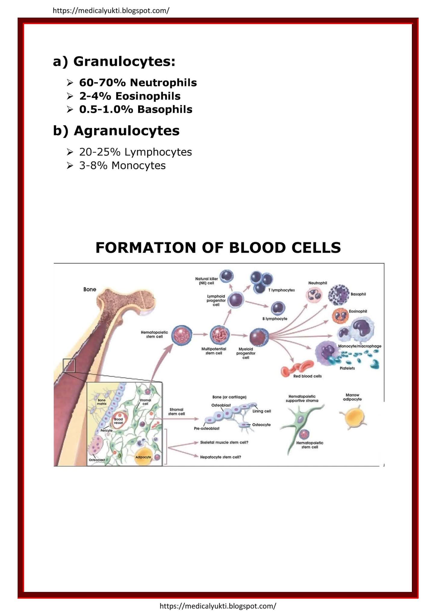 HAEMOPOIETIC SYSTEM - Medical Yukti