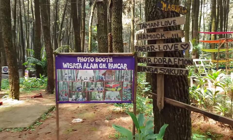 Harga Tiket Masuk Hutan Pinus Bogor, Wahana dan Alamat Lengkap ...