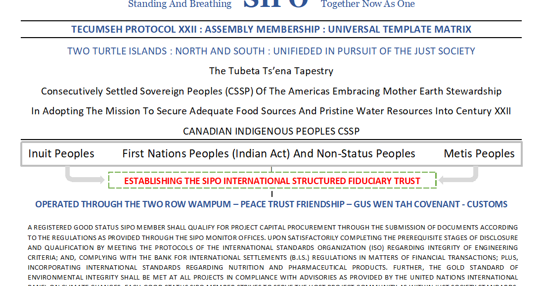 SGO ____________ SUPRANATIONAL ORGANIZATIONS ____________ SGO: THE TWO ...