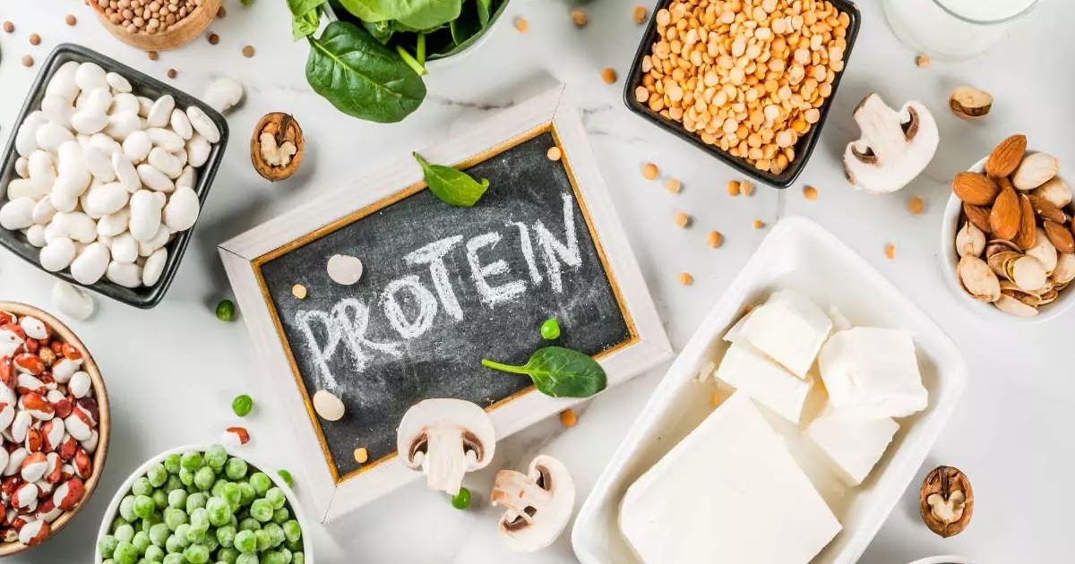 4 Most Digestible Protein Sources Two Animal-Based And Top Two Plant-Based