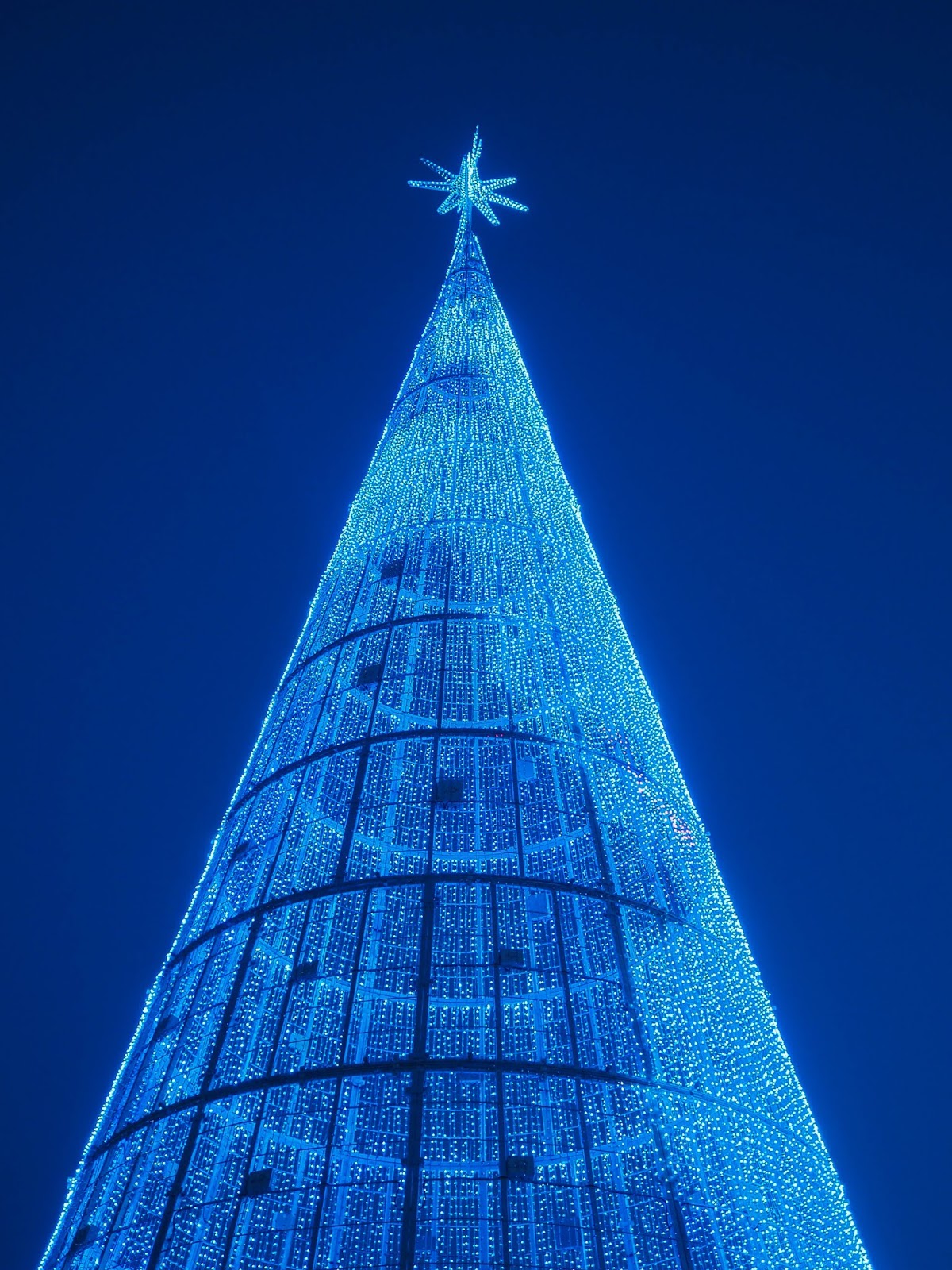 Little Hiccups: Denver's Mile High Tree