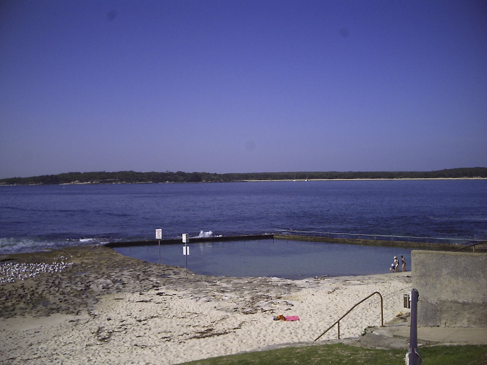 Lazy Swimmer: The Long Swim