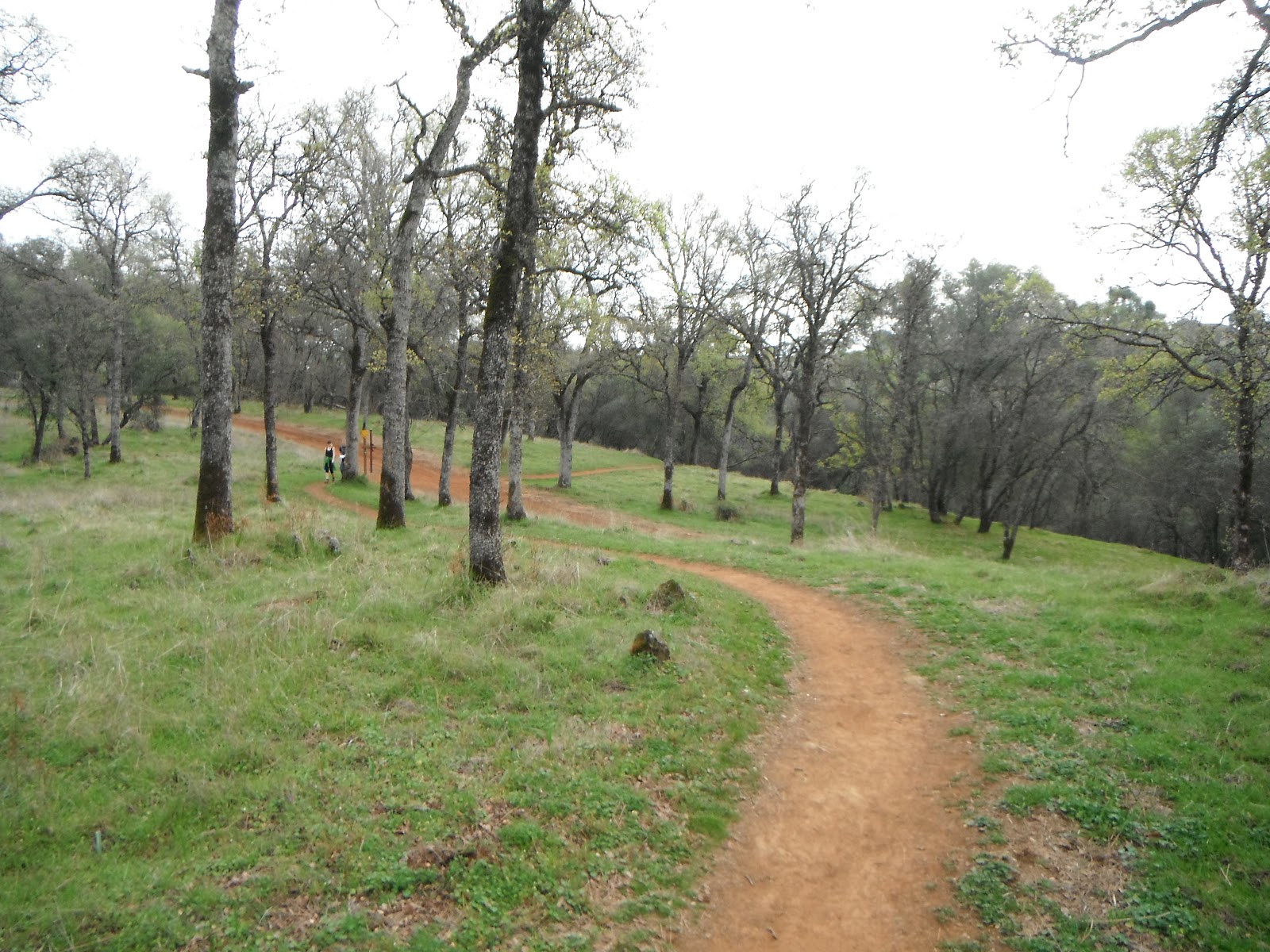 On Your Mark Adventures: Hidden Falls Loop Auburn, CA