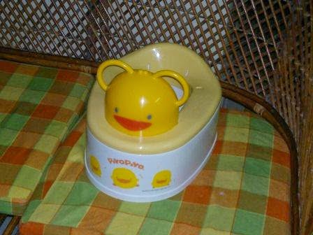 Welcome to Triplet's House! : Potty training