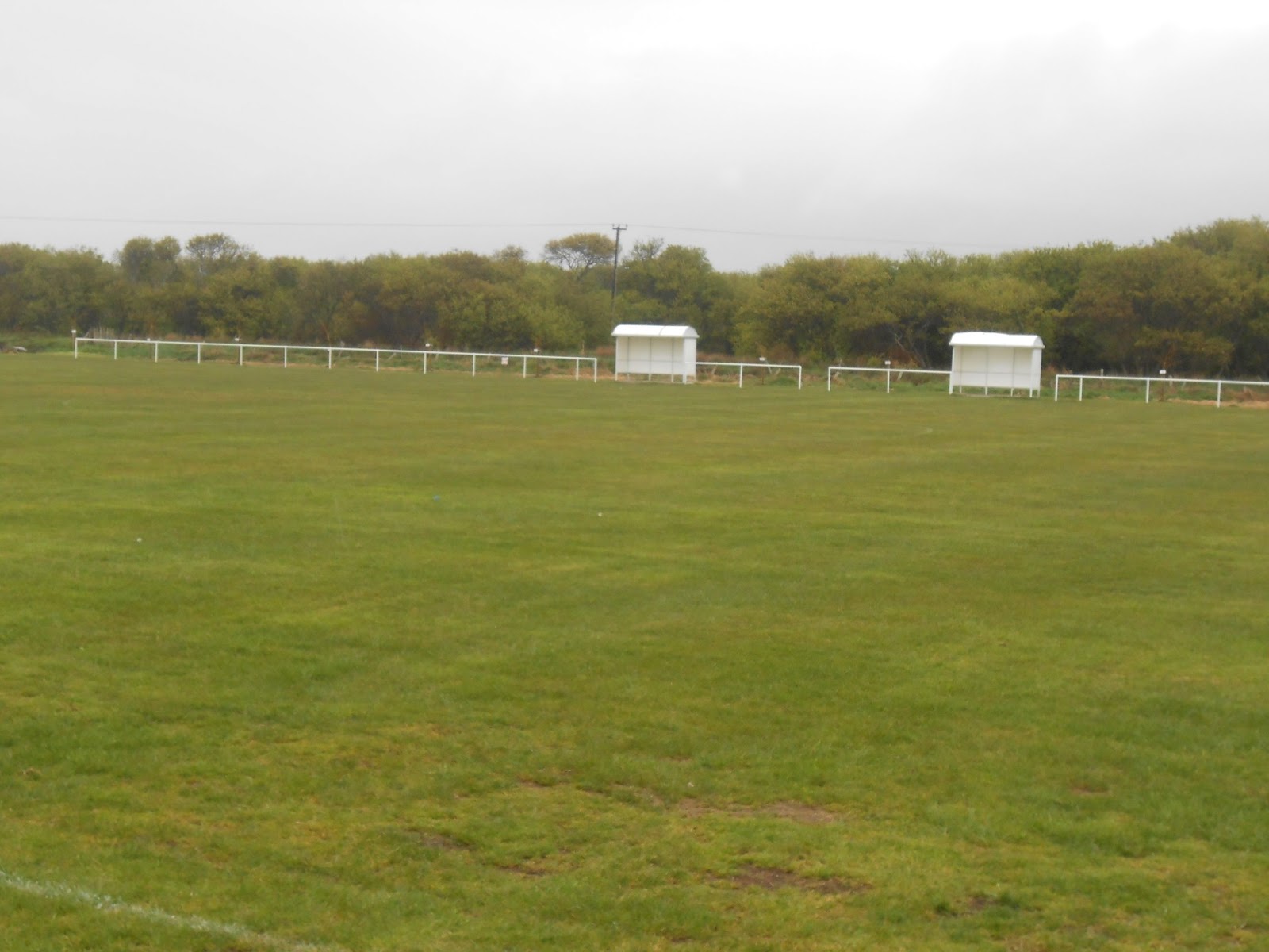 Fox in the Box Productions - Official website: Borth United F.C.