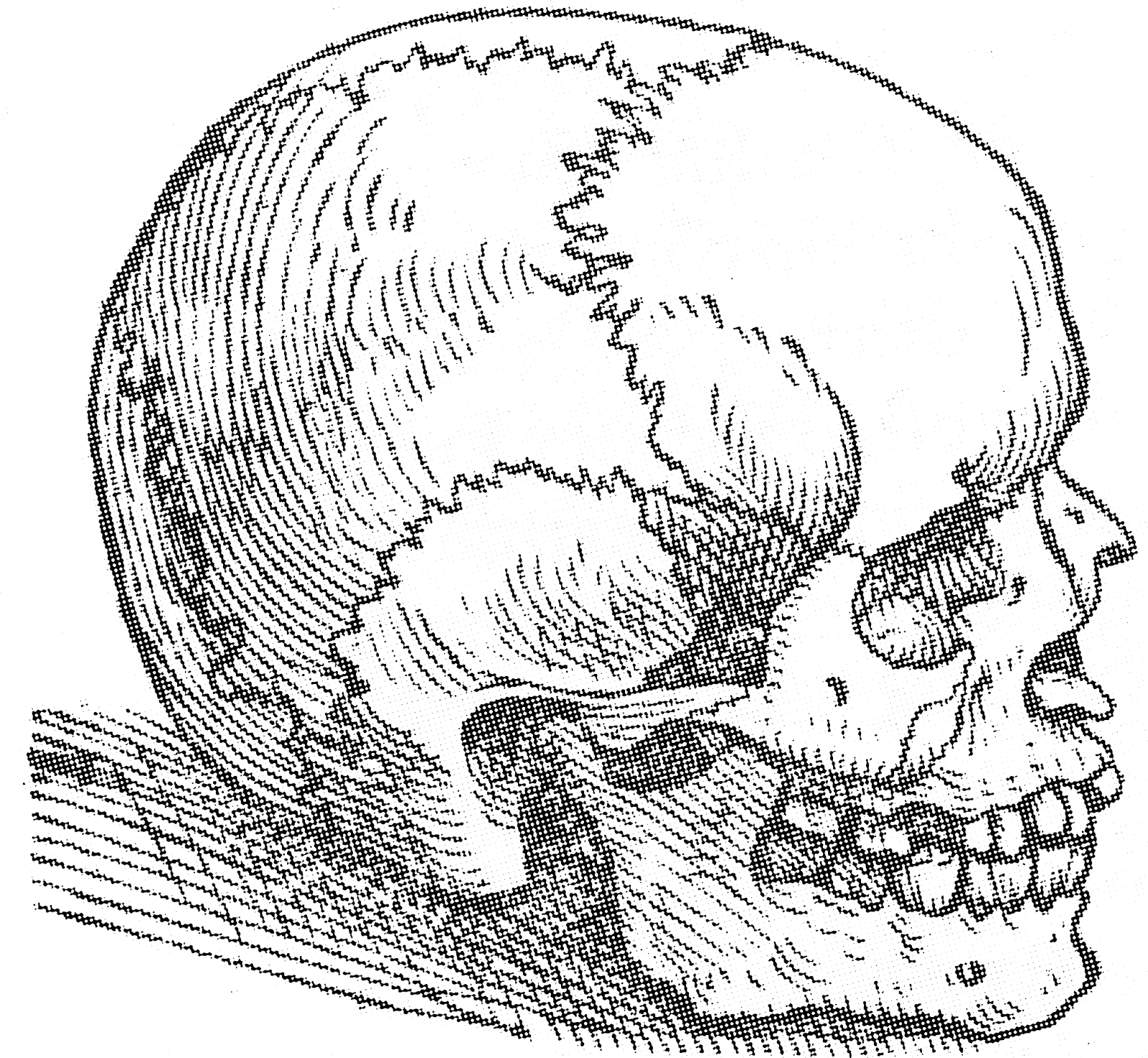 Skulls and Engraving