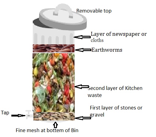Vermiculture (Vermicompost)-organic fertilizer project preparation