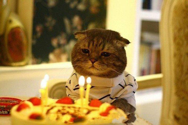 photos comiques: Bon anniversaire loooooooooooooooool