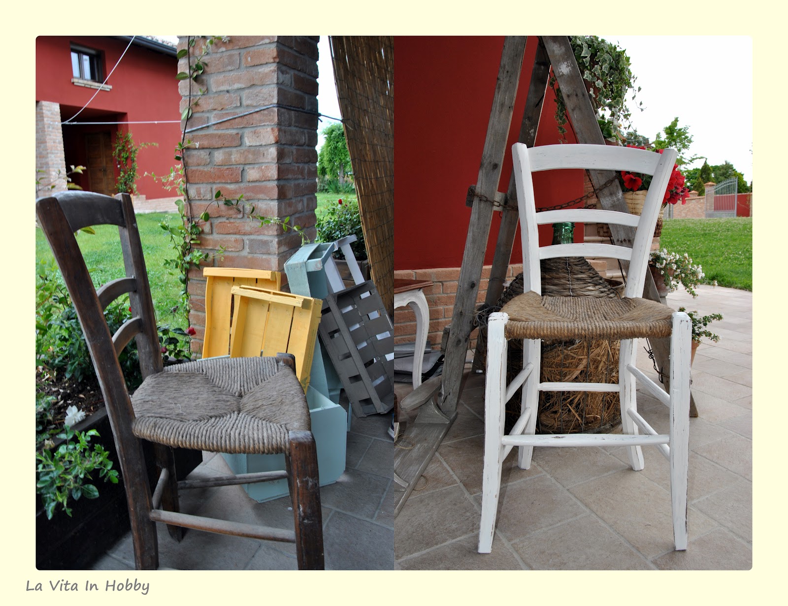 STELLA UN TESORO DEL MARE: PARLO DI LAURA ZANNI