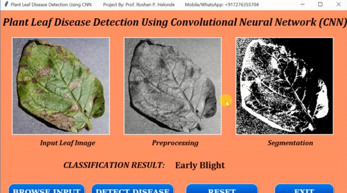 Python Code For Plant Disease Detection Using Cnn Convolutional Neural
