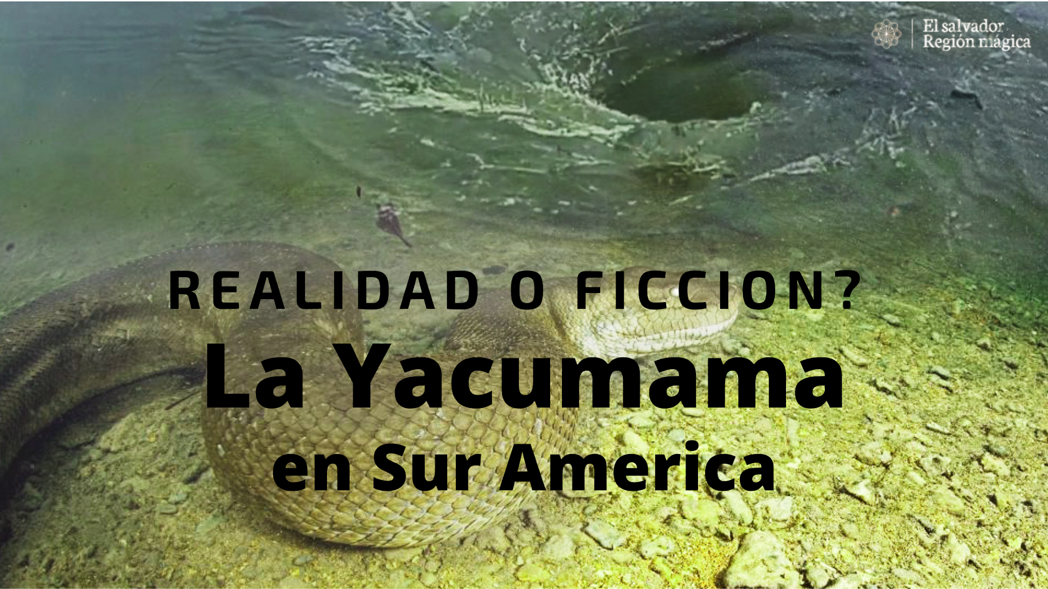 La Yacumama una Leyenda de Sur América, o No? - El Salvador Región Magica