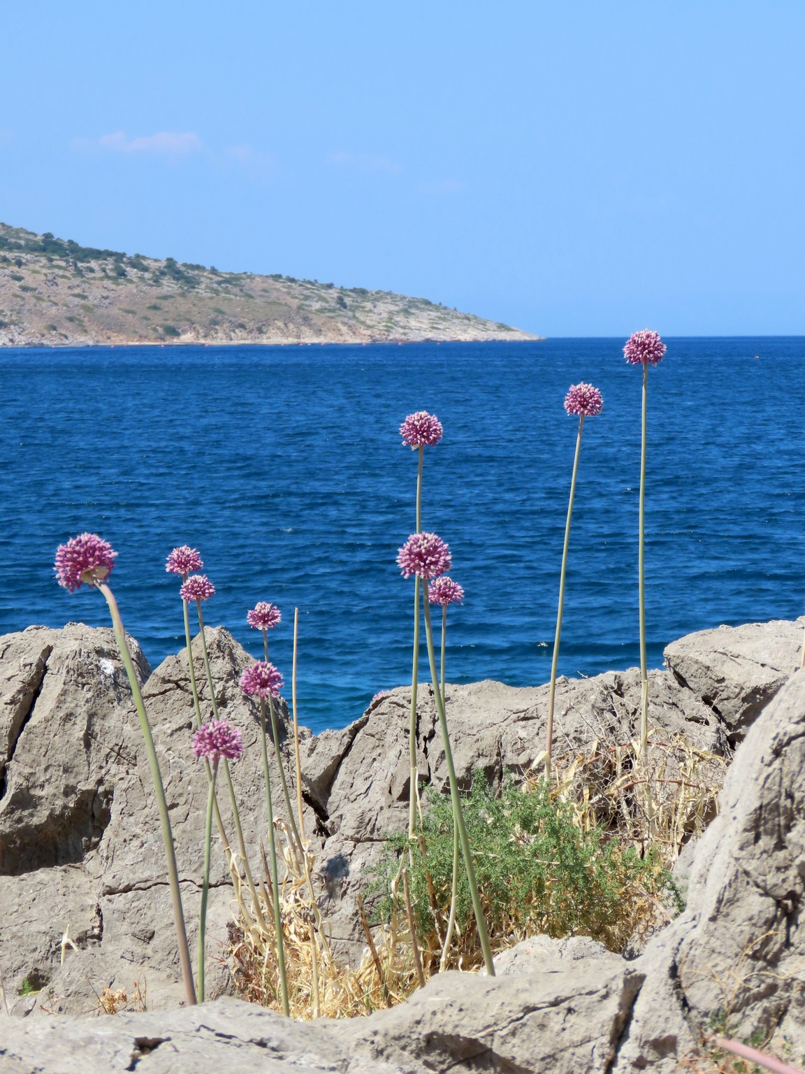 foltról foltra...: Vrontados